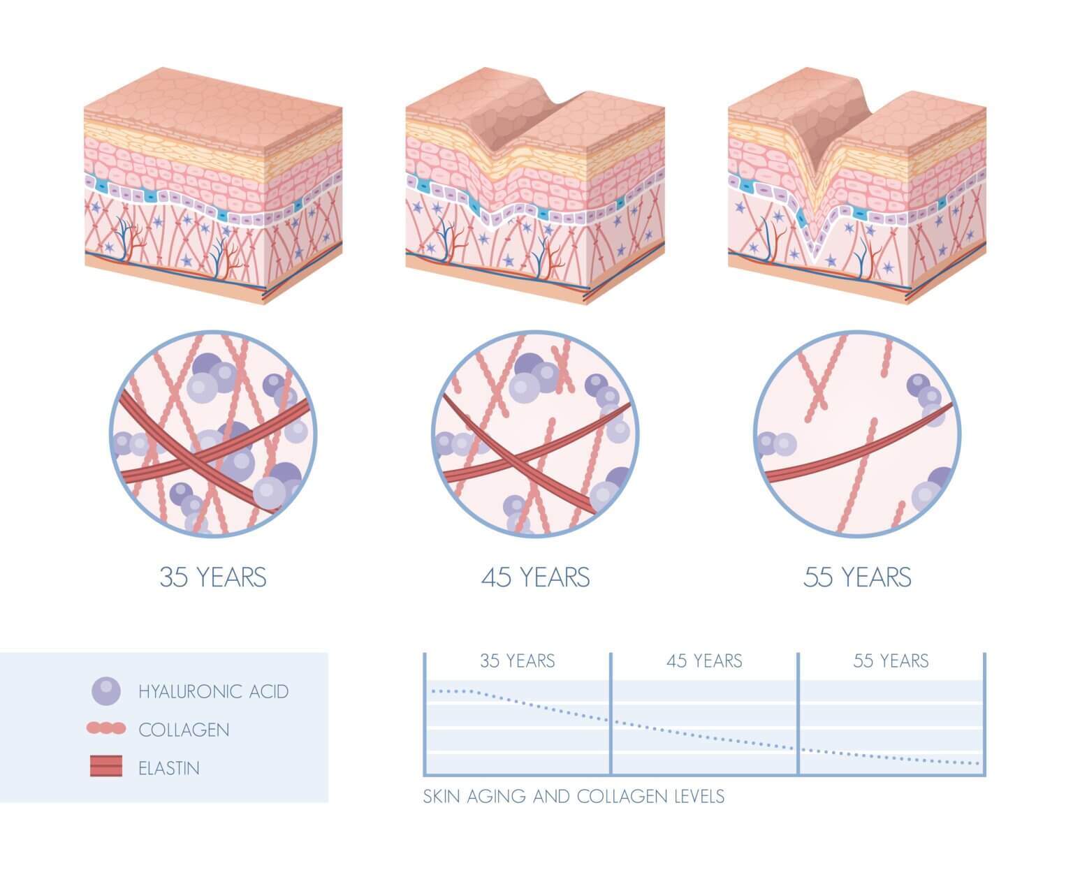 Extrinsic vs. Intrinsic Aging: Understanding the Differences - GalBaia